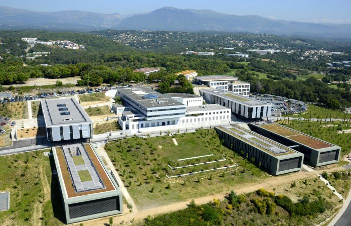 Universiteti "Aleksandër Moisiu"